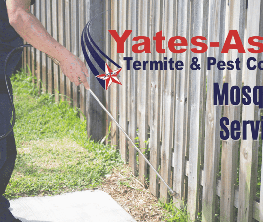 Our Blog | Yates-Astro Termite & Pest Control